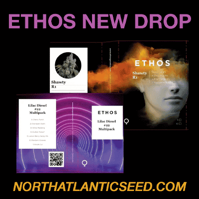 North Atlantic Seed Company