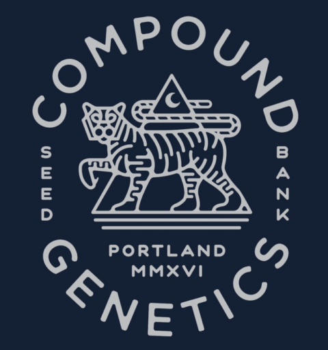 Z Pavé (F) – Buy Cannabis Seeds Online | North Atlantic Seed Co.