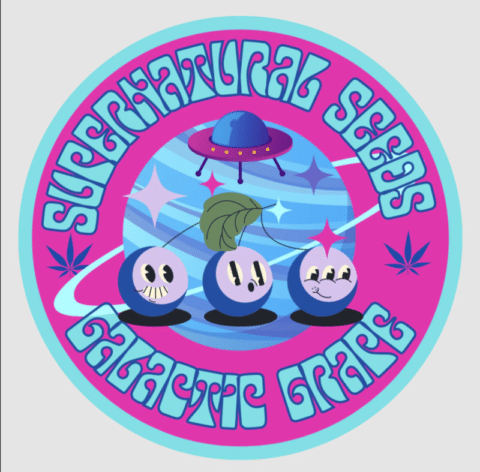 Galactic Grape Auto – Buy Cannabis Seeds Online | North Atlantic Seed Co.