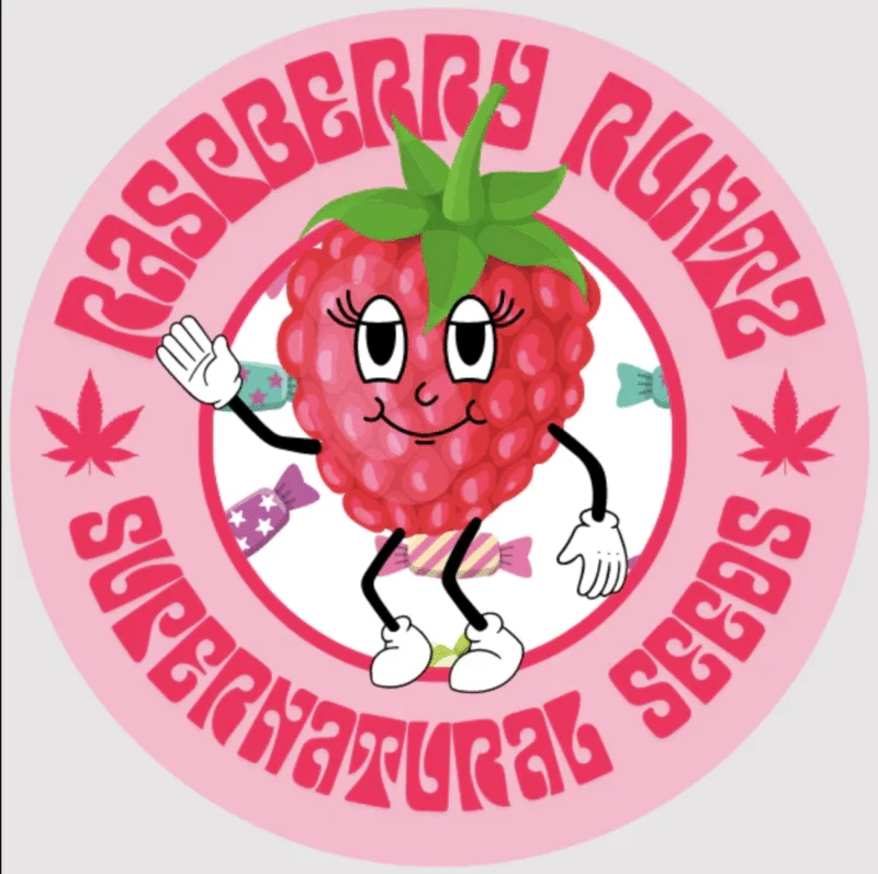 Raspberry Runtz (F) – North Atlantic Seed Co.