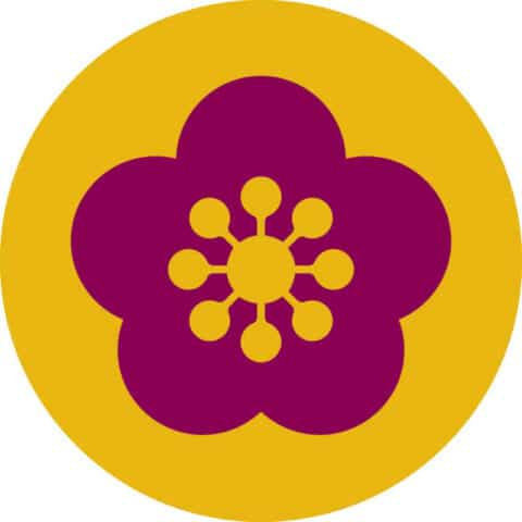 Power Flower (F) – Cannabis Seeds for Sale | North Atlantic Seed Co.