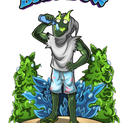 Square One Genetics Cannabis Seeds » NORTH ATLANTIC SEED CO.