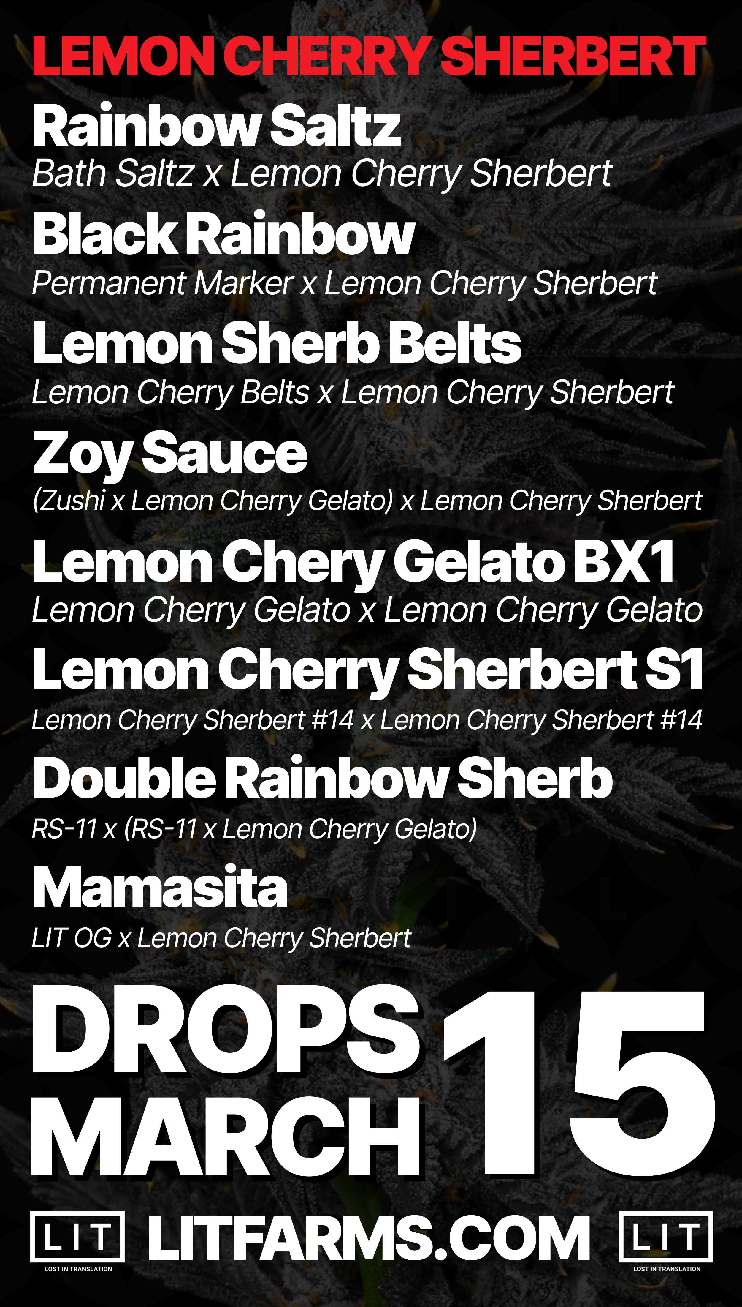 FAQ » NORTH ATLANTIC SEED CO.