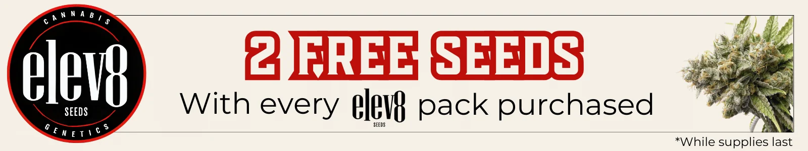 Elev8 Seeds - Autoflowering » NASC Cannabis Seed Shop (P1)