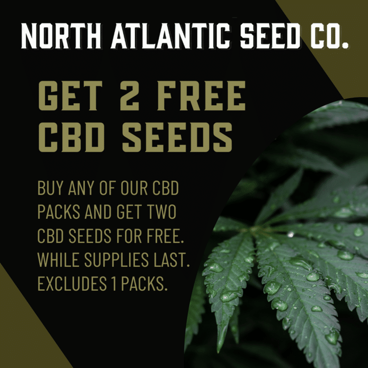 North Atlantic Seed Company - Quality genetics, breeders & strains