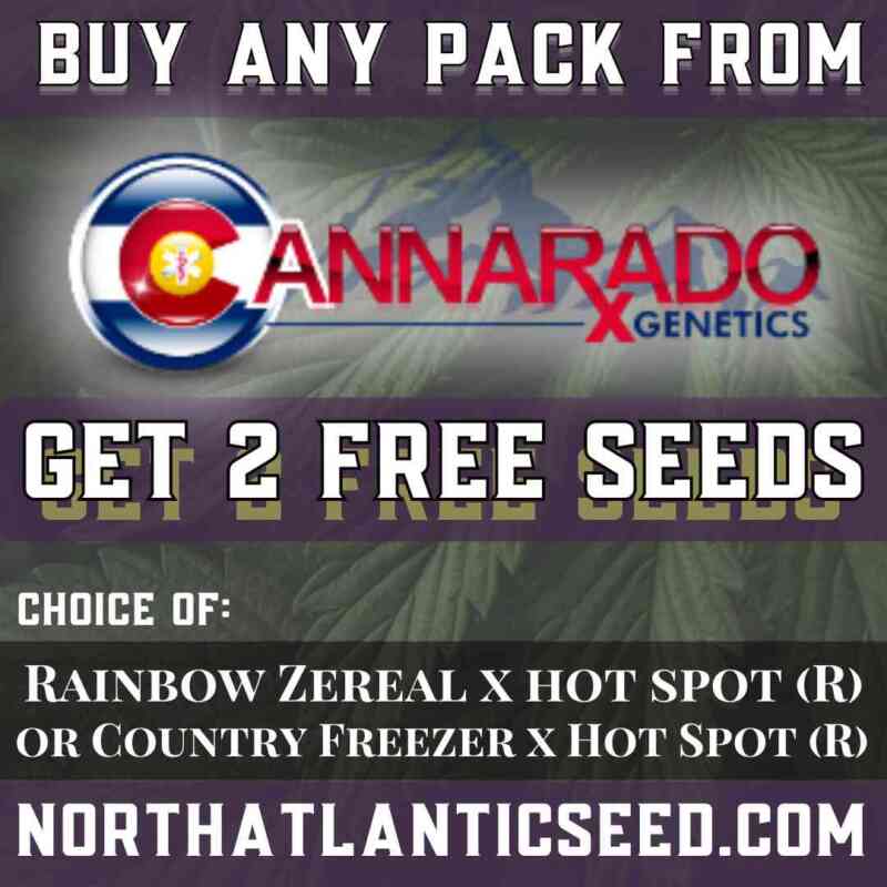North Atlantic Seed Company - Quality genetics, breeders & strains