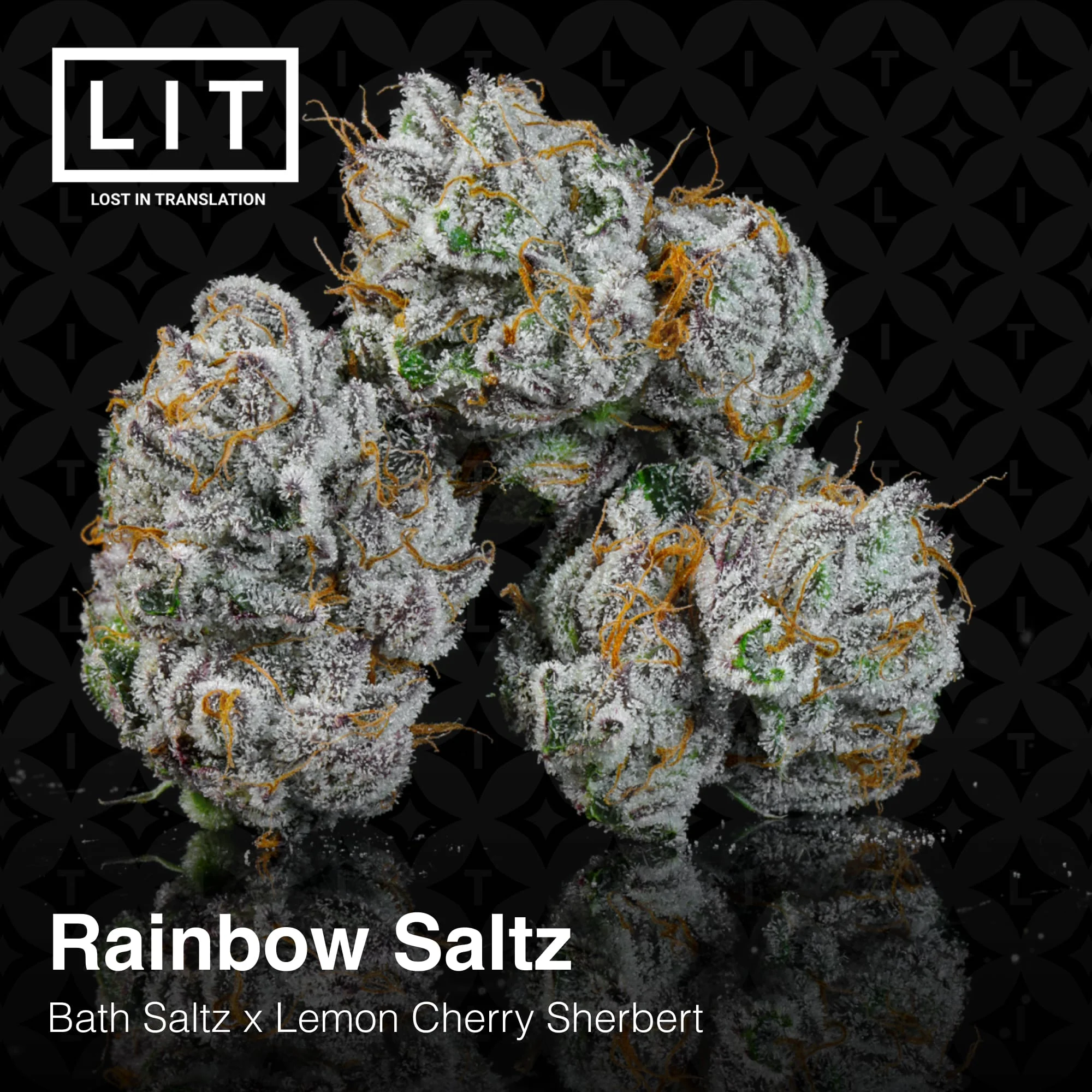 Rainbow Saltz (F) [LEMON CHERRY SHERBERT DROP] » Feminized Photoperiod