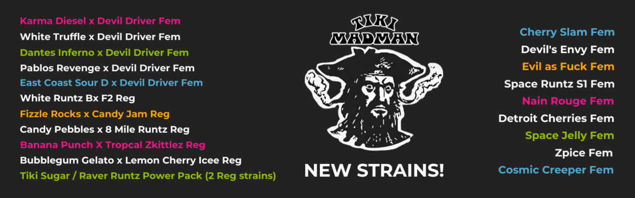 Tiki Madman | North Atlantic Seed Co.