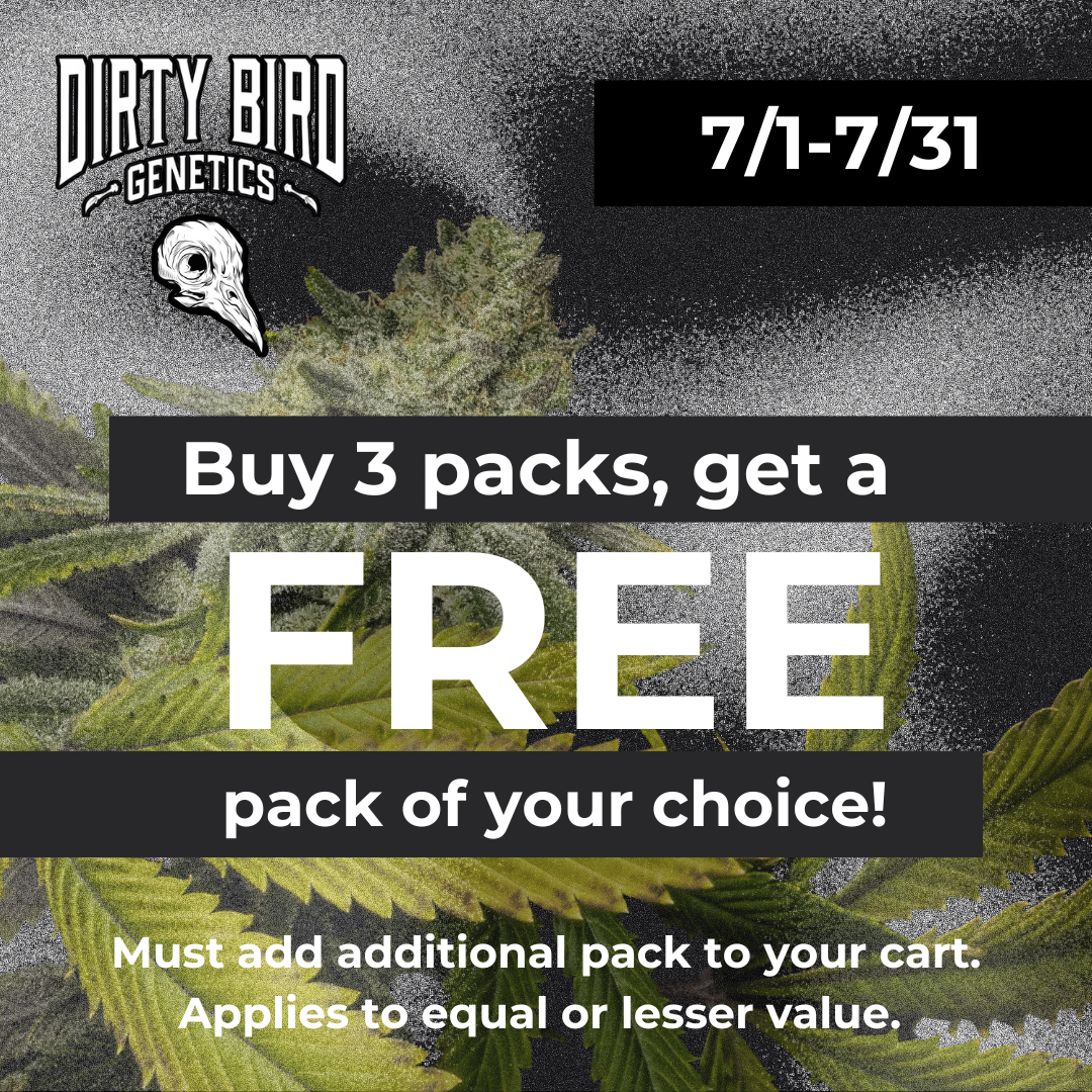 Dirty Bird Genetics » NASC Cannabis Seed Shop (P1)