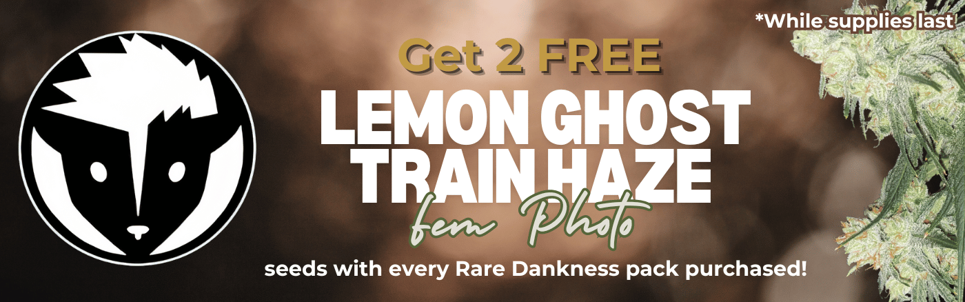 Rare Dankness – North Atlantic Seed Co.