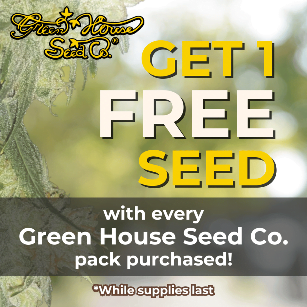 Greenhouse Seed Co. | North Atlantic Seed Co.
